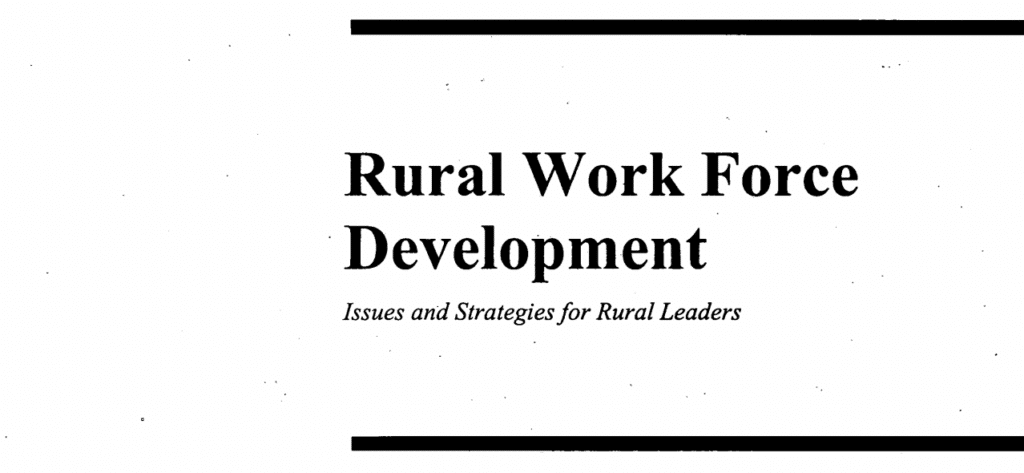 Rural Work Force Development: Issues and Strategies for Rural Leaders ...