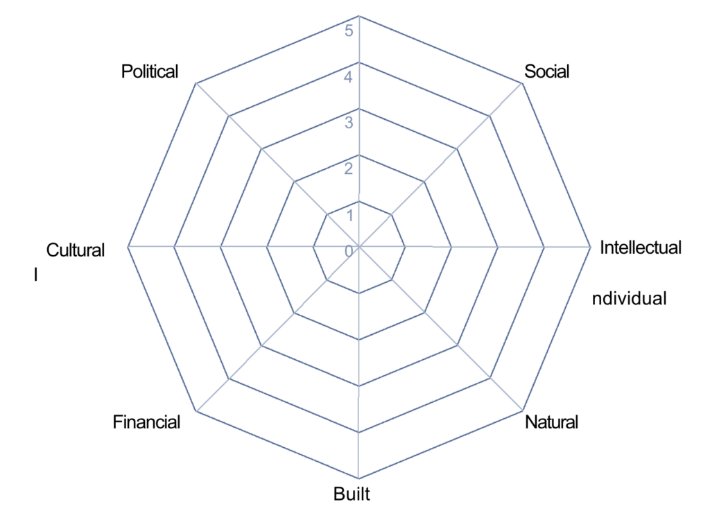 SPIDER DIAGRAM: ASSESSING WEALTH IN A SECTOR - Aspen CSG